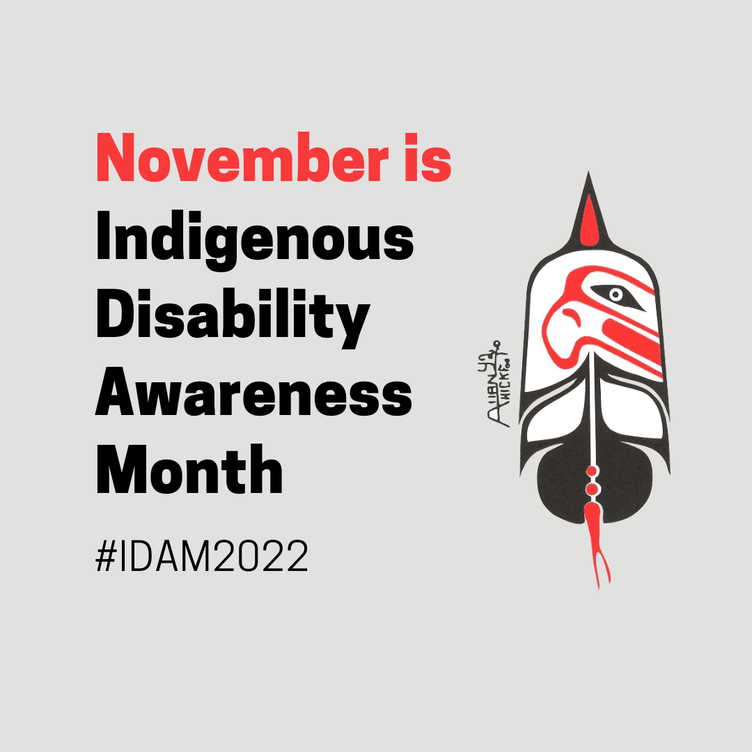 November is Indigenous Disability Awareness Month - Plan Institute